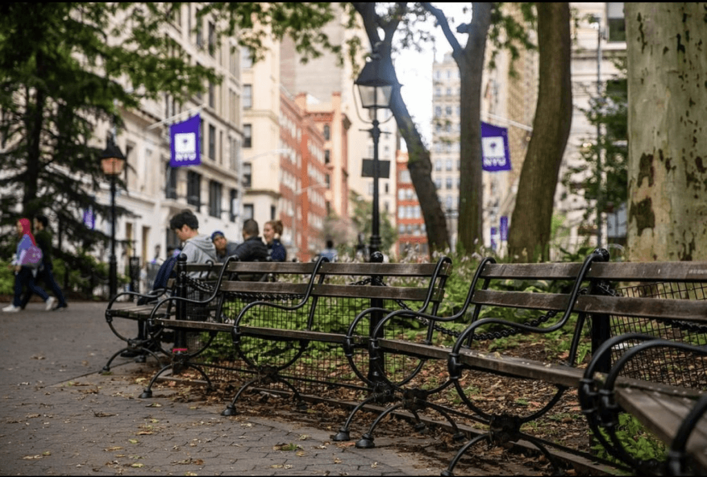 NYU’s Urban Design and Architecture Studies Major Is Built for Success ...