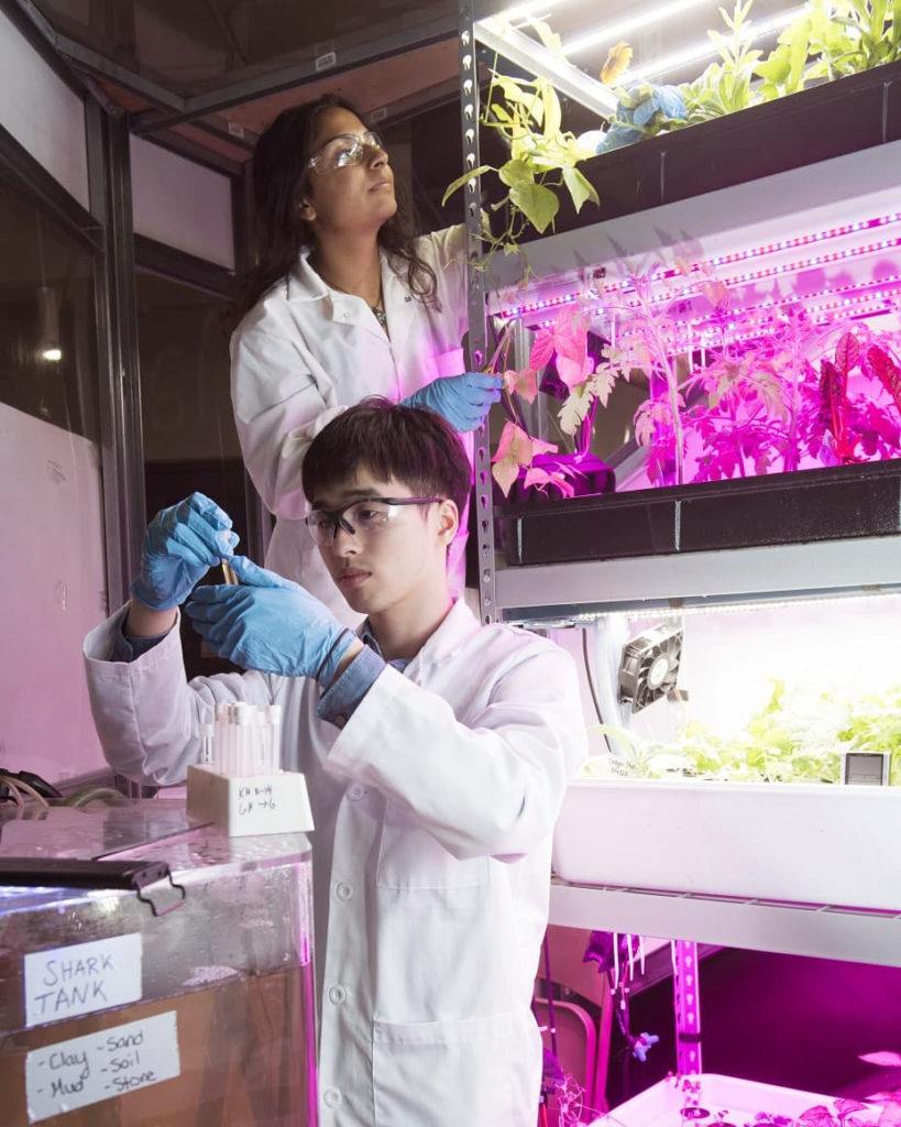 The NYU Food Lab: Boost Your Culinary Palate - MEET NYU