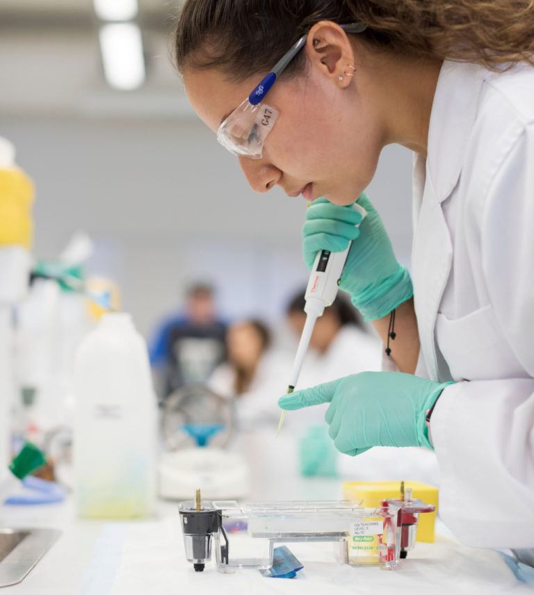 Tips for the Summer Before Your Senior Year of High School - MEET NYU