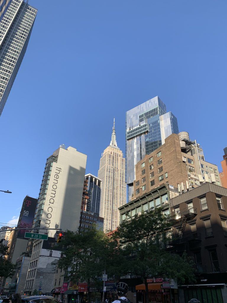 International Relations at NYU: A Global System in Action - MEET NYU