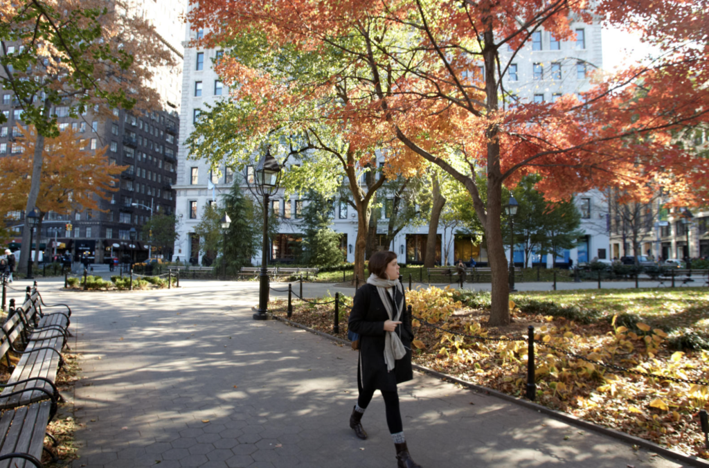 An Updated List of the Best Quick Food Spots Around NYU - MEET NYU